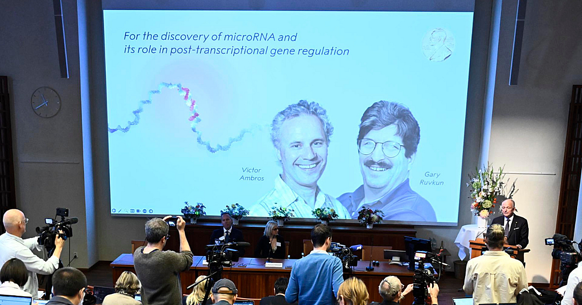 Nobel Prize in medicine awarded to scientists Ambros and Ruvkun for micro-RNA and its role in ...